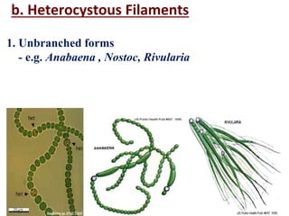 Lecture 3.pptx