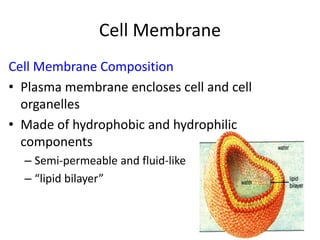Cell lecture 3 | PPTX