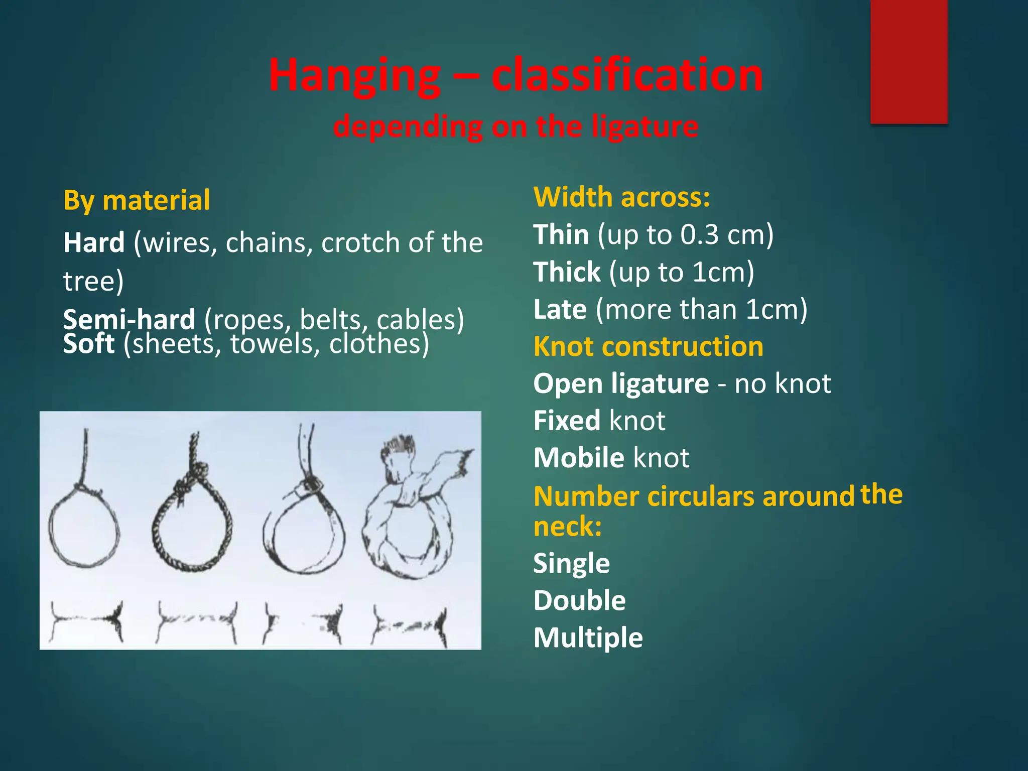 Lecture 3. Forensic examination of mechanical asphyxia.ppt