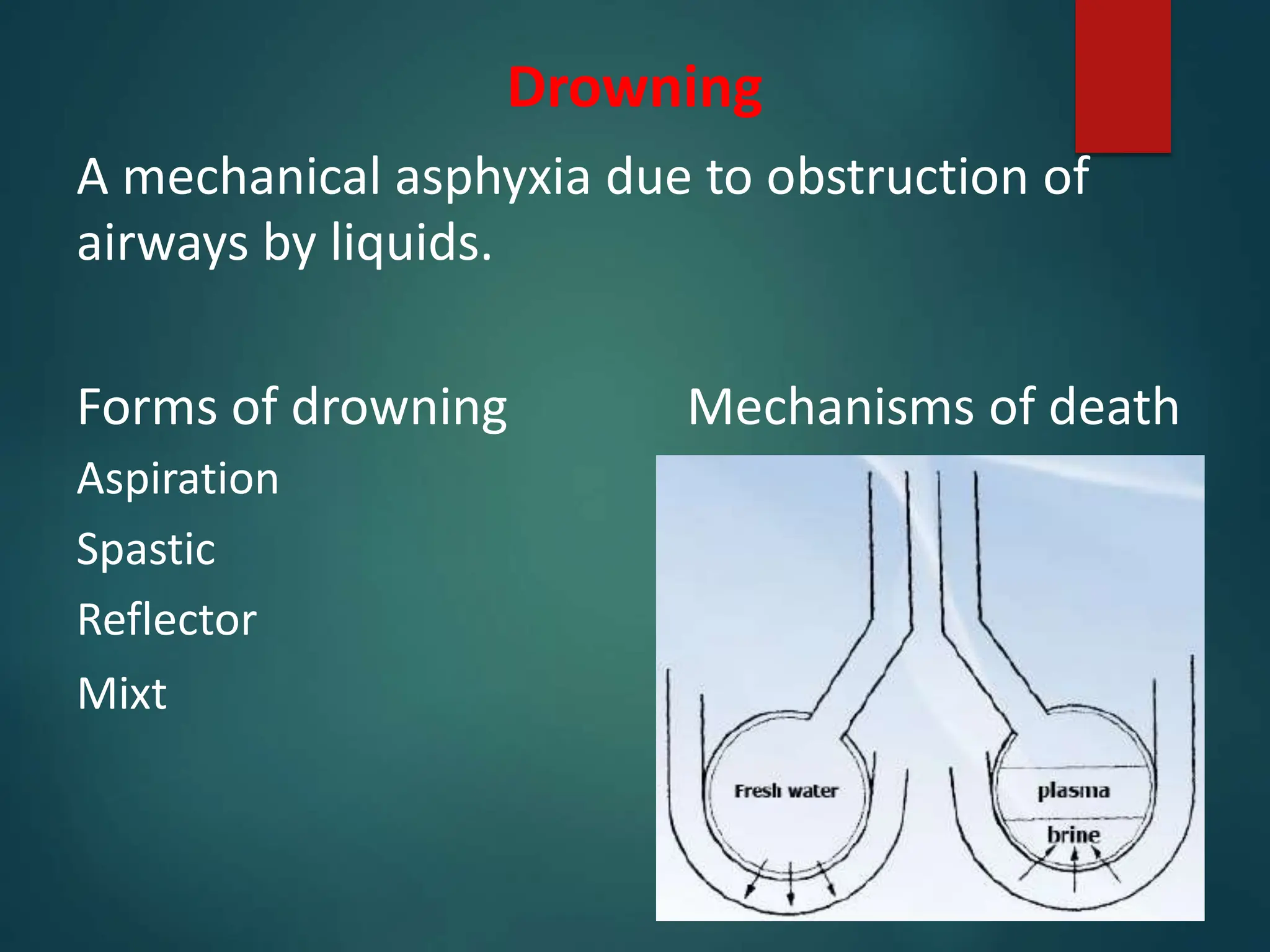 Lecture 3. Forensic examination of mechanical asphyxia.ppt