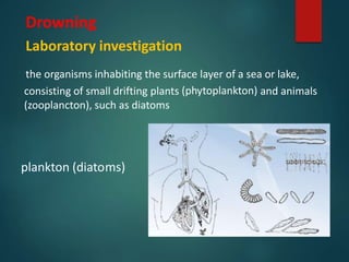 Lecture 3. Forensic examination of mechanical asphyxia.ppt