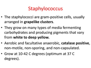 lecture 3.pptxhhhjjjiiikjjjjjjjjiuhhjjjjj | PPT