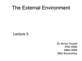 Lecture3.management.external environment.ppt