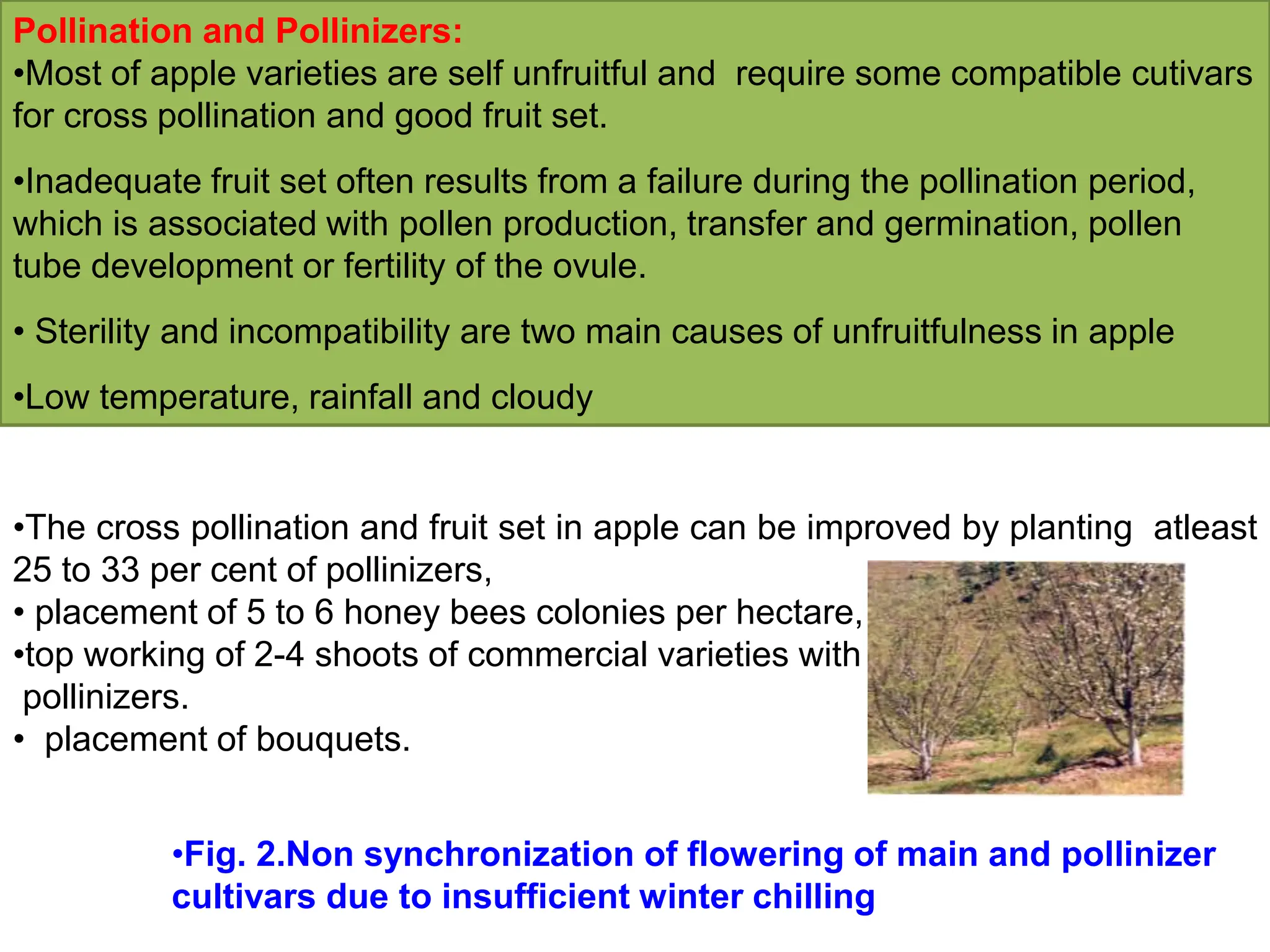 Morphology characters and flowering of Apple | PPSX