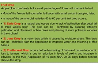 Morphology characters and flowering of Apple | PPSX