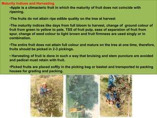 Morphology characters and flowering of Apple | PPSX
