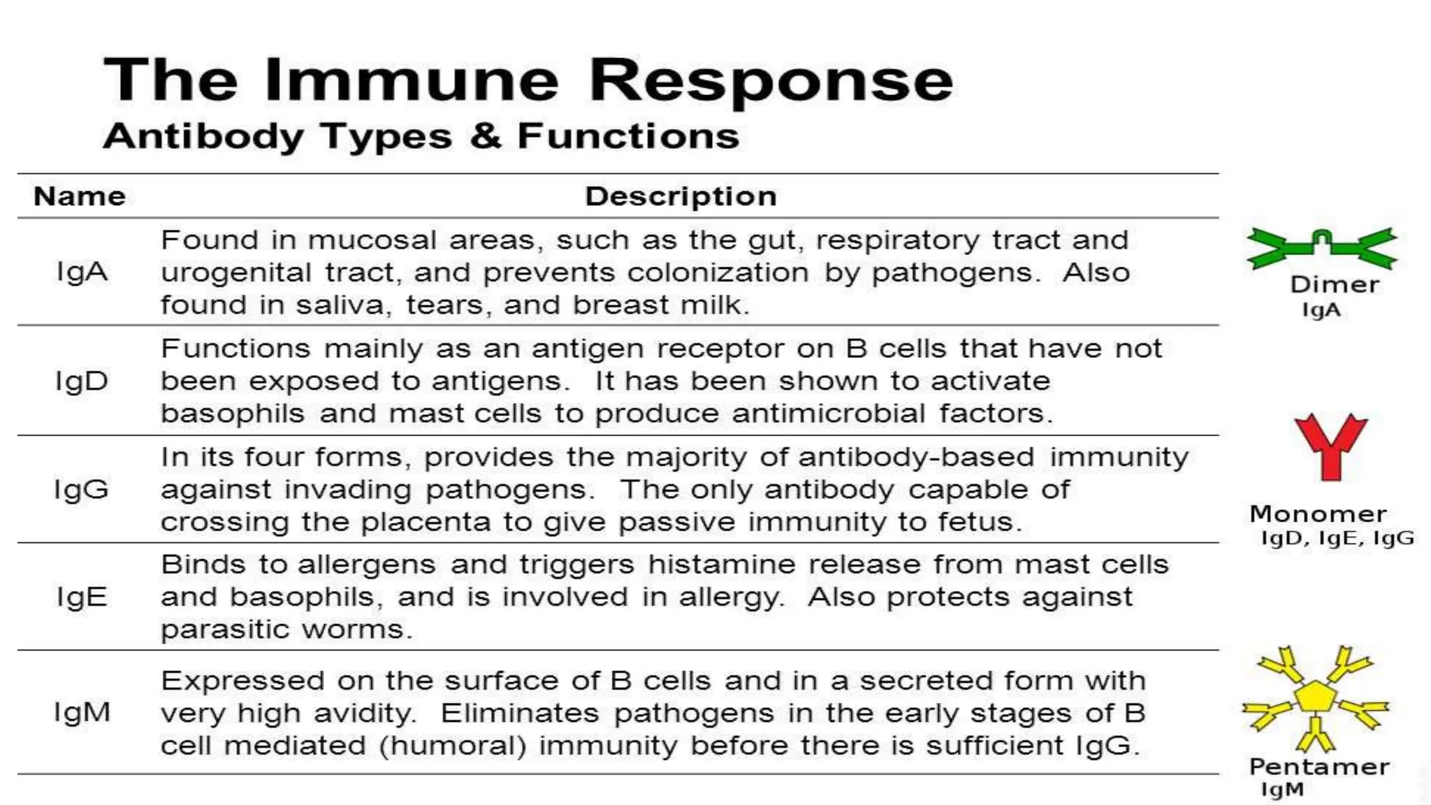 Defense Mechanisms of the Body Lecture 3.pptx