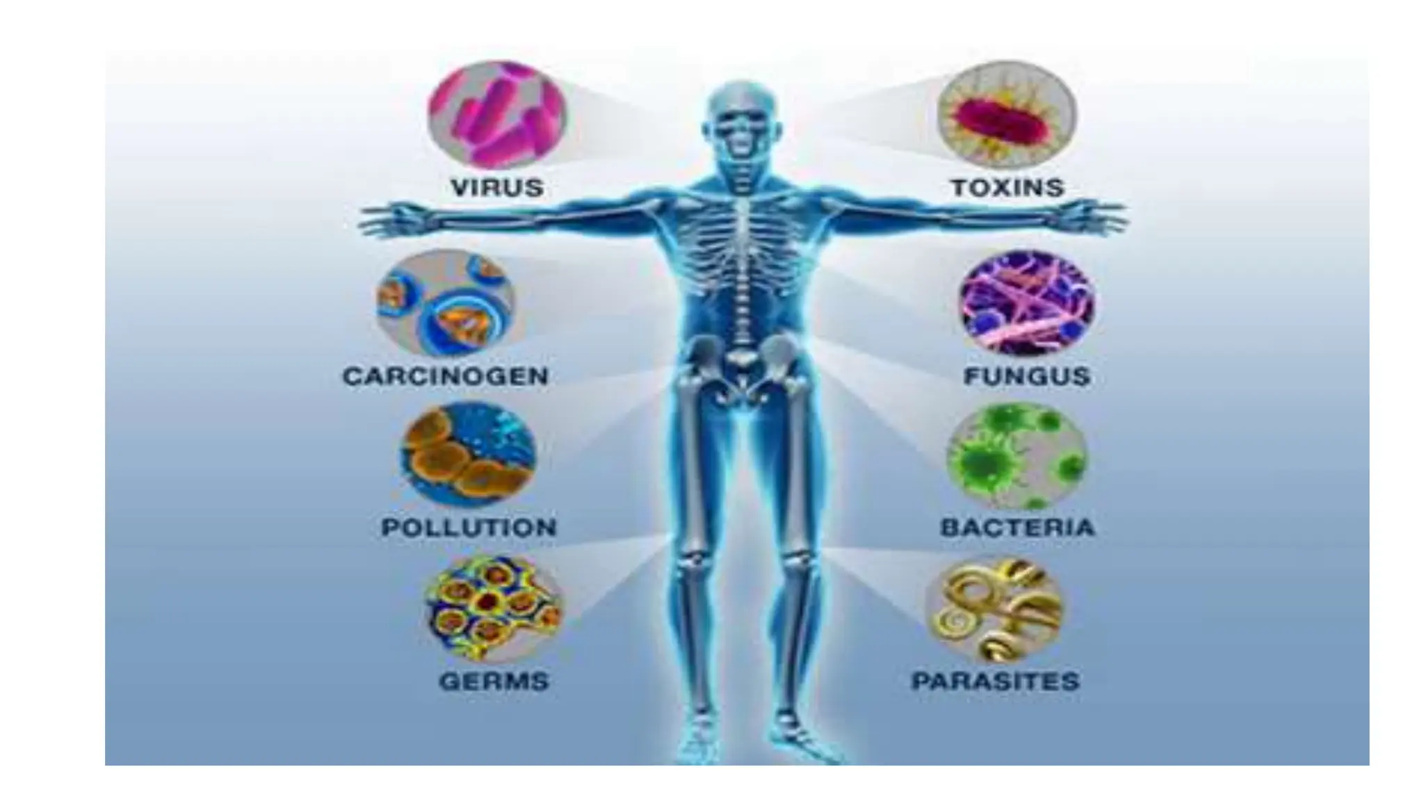 Defense Mechanisms of the Body Lecture 3.pptx