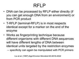 PCR polymerase chain reaction concepts .ppt