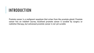 Prostate CANCER level 12ph D 20240823GL | PPT | Free Download