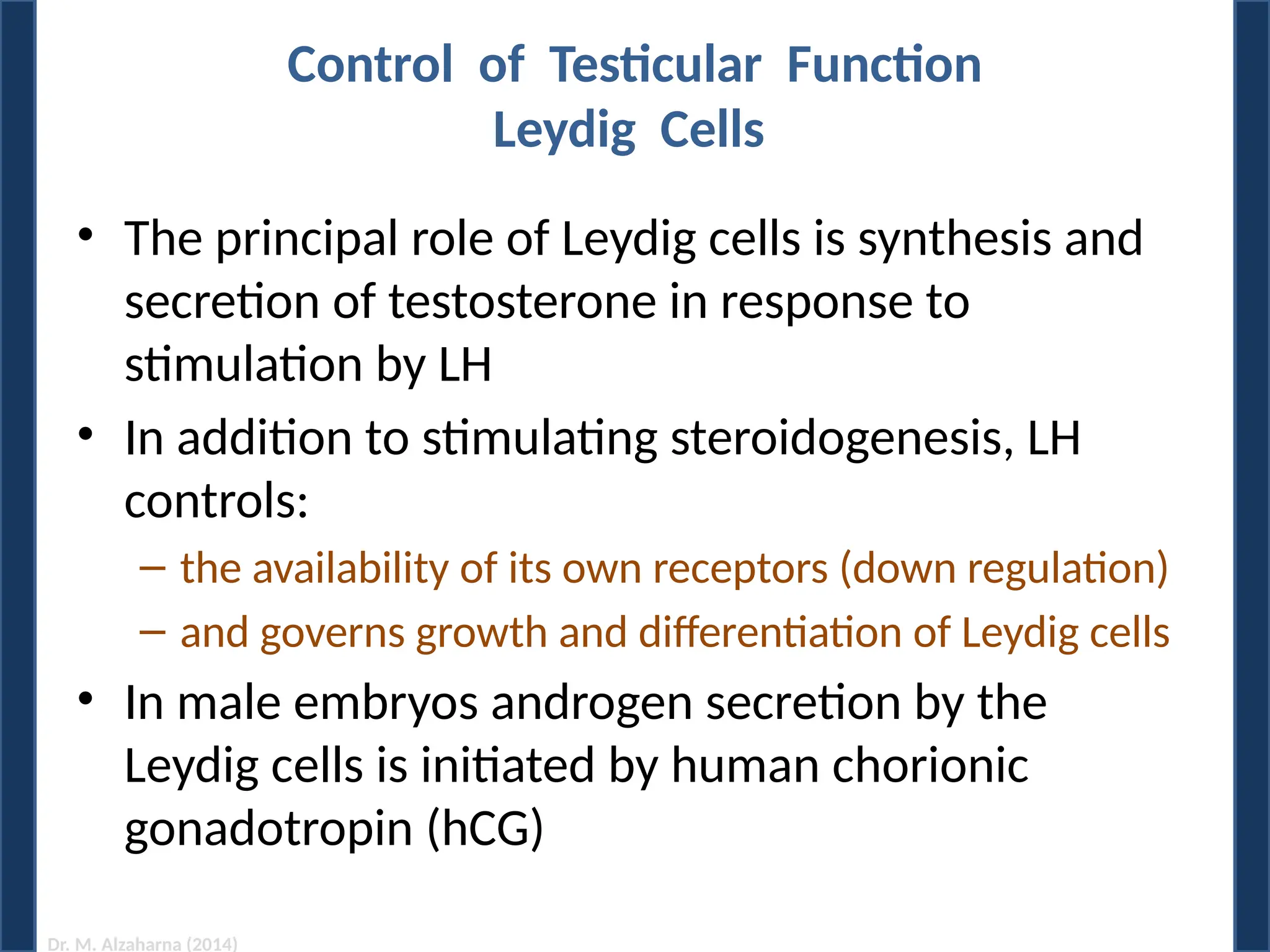 Testosterone mechanism of action in human | PPTX