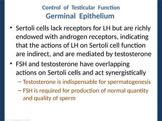 Testosterone mechanism of action in human | PPTX