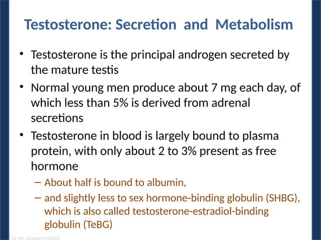 Testosterone mechanism of action in human | PPTX