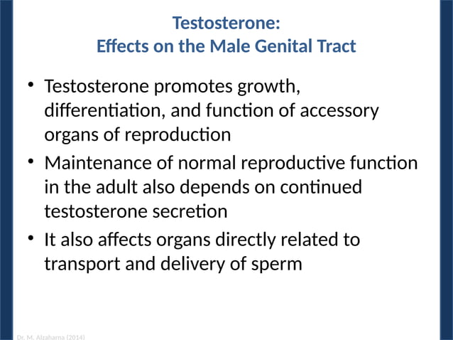 Testosterone mechanism of action in human | PPTX