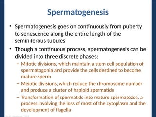 Testosterone mechanism of action in human | PPTX