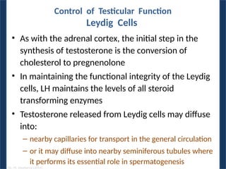 Testosterone mechanism of action in human | PPTX