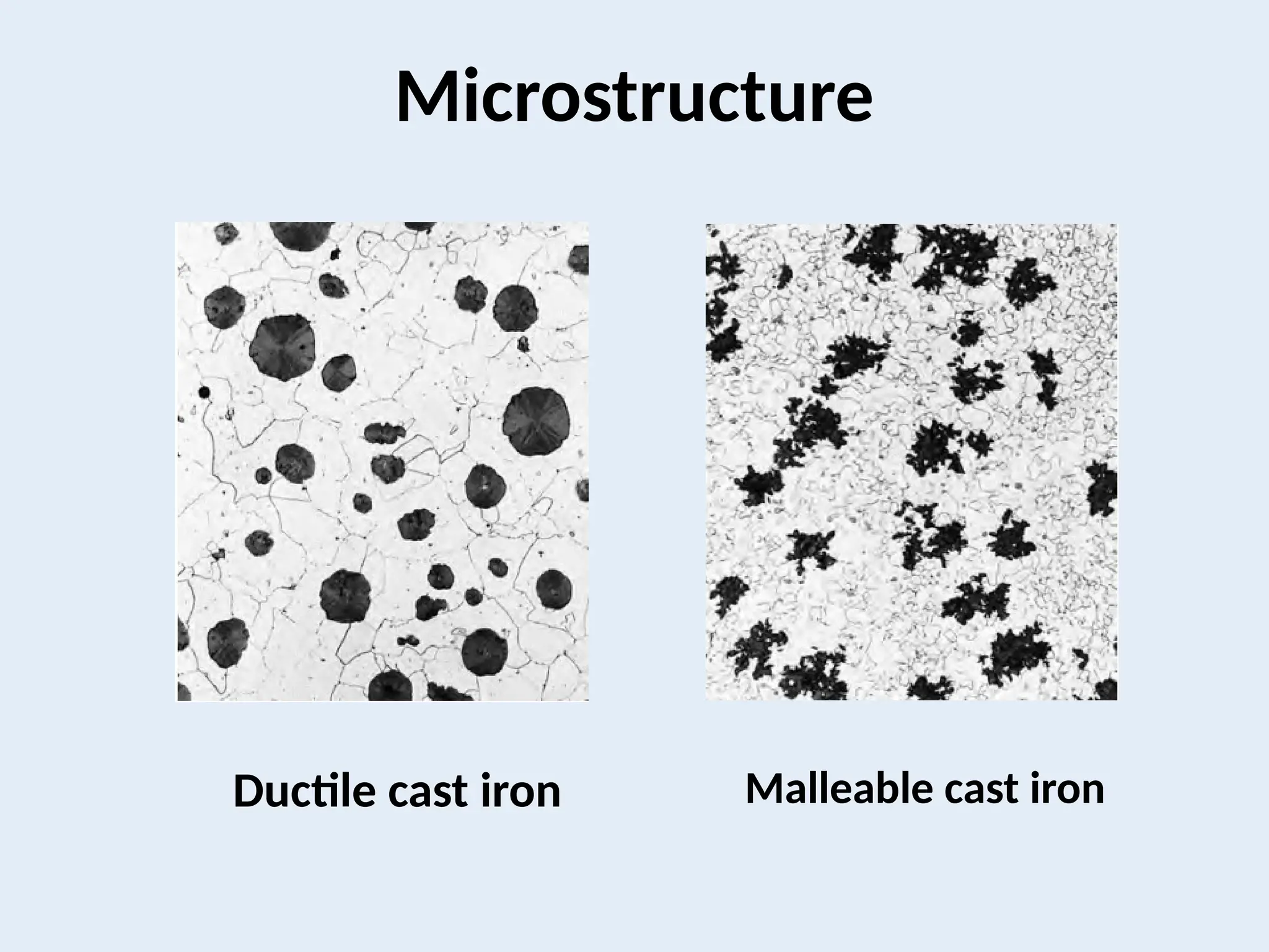 Microstructure of Cast Iron (Part-02).pptx