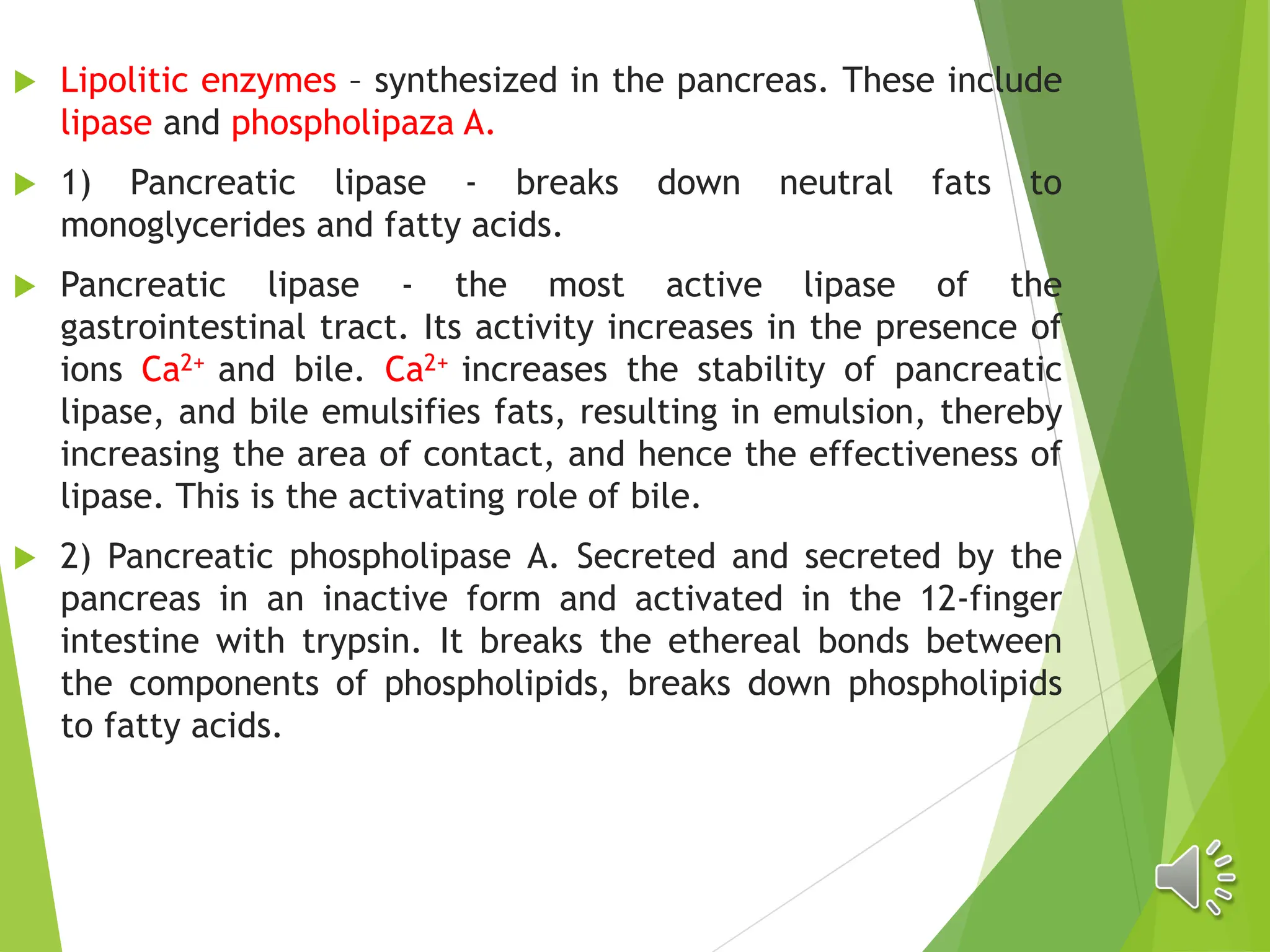 Lecture 3. Digestion in the intestines_9a7afad6-143c-4a8f-a800 ...