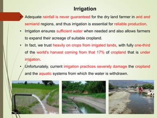 Lecture 3 2ppt Food resources | PPT