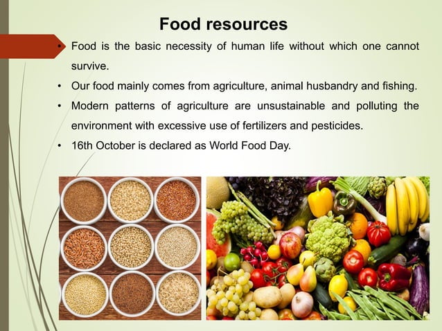 Lecture 3 2ppt Food resources | PPT