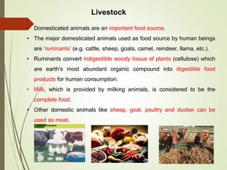 Lecture 3 2ppt Food resources | PDF