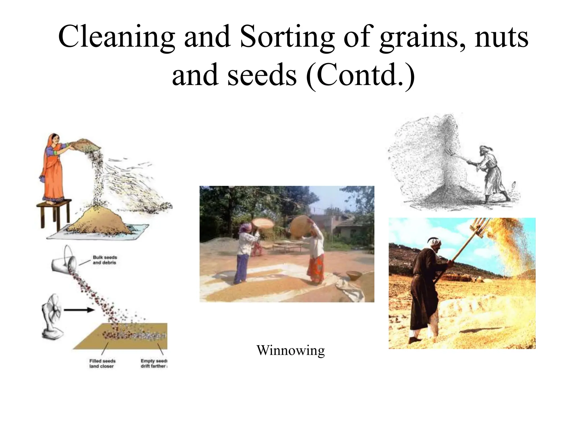 Cleaning, Sorting and Grading Devices.pdf
