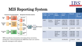 Lecture 3-4 Introduction to Organization System.pptx