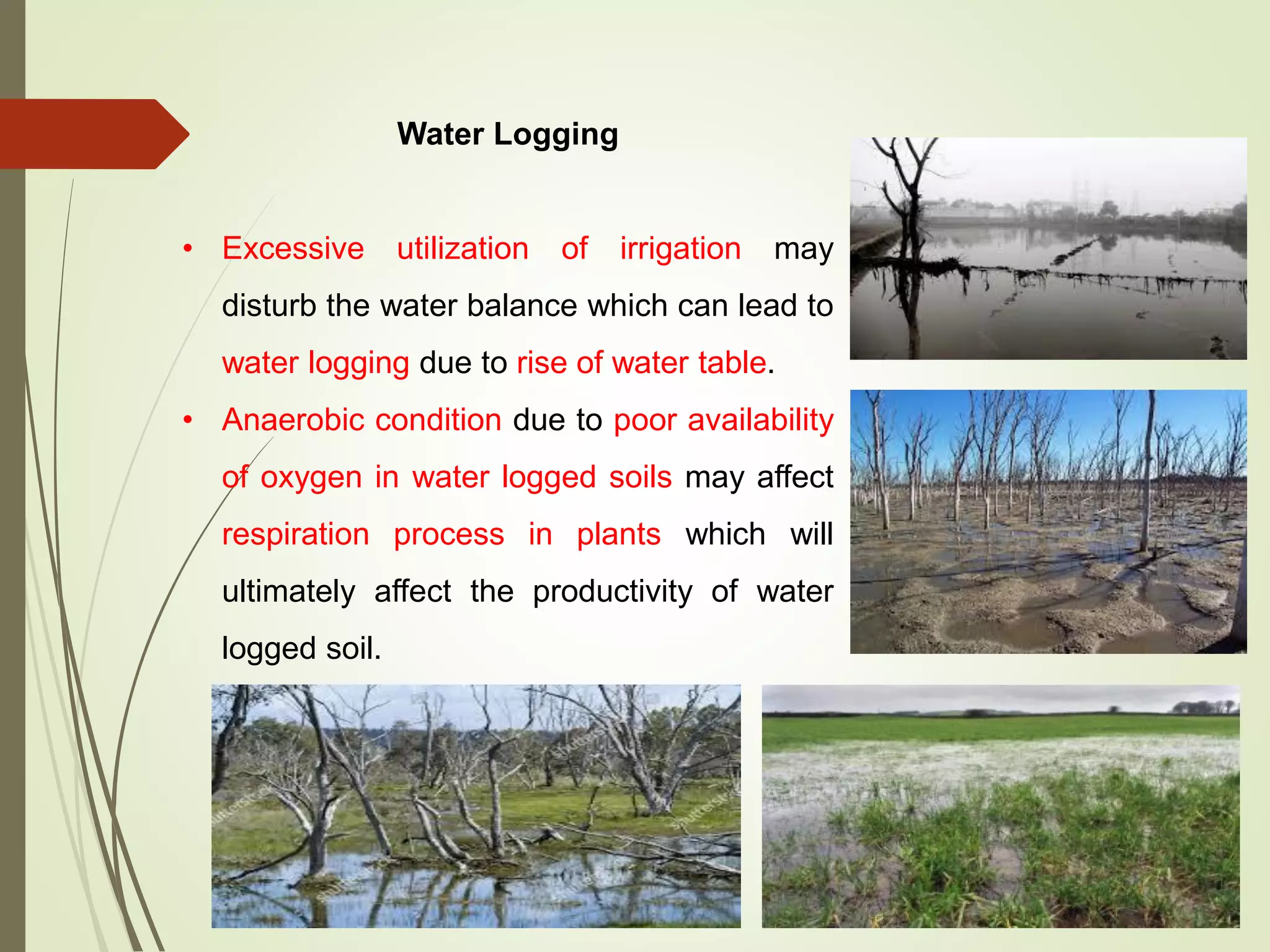 Lecture 3 4ppt Land resources | PDF