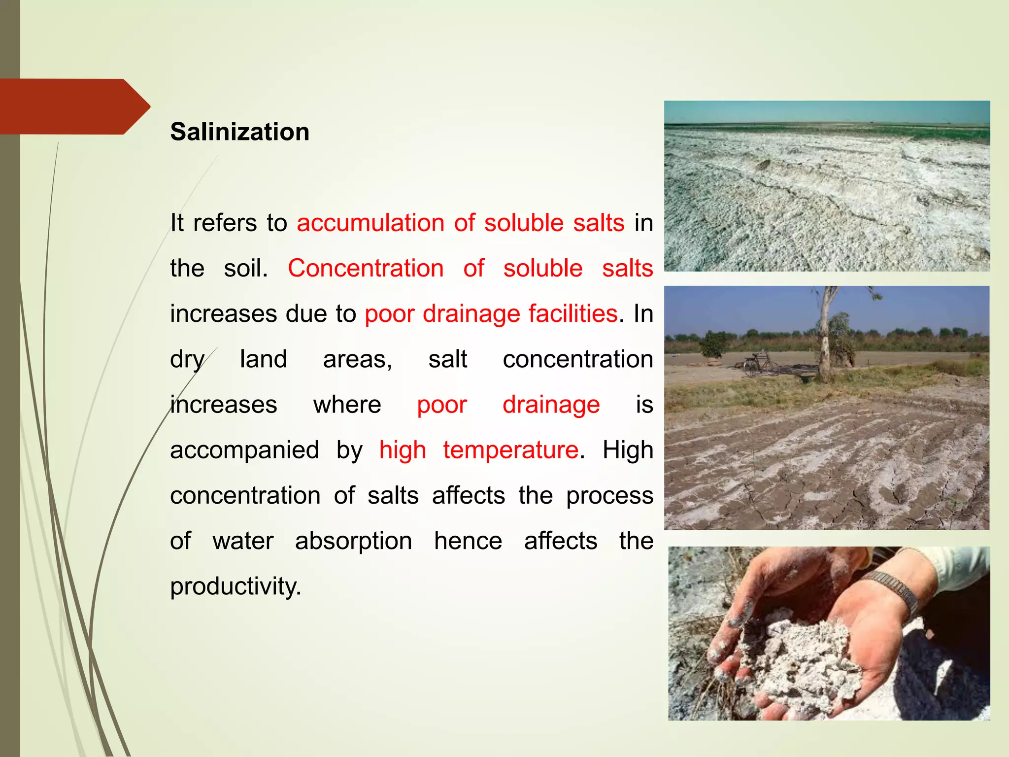 Lecture 3 4ppt Land resources | PDF