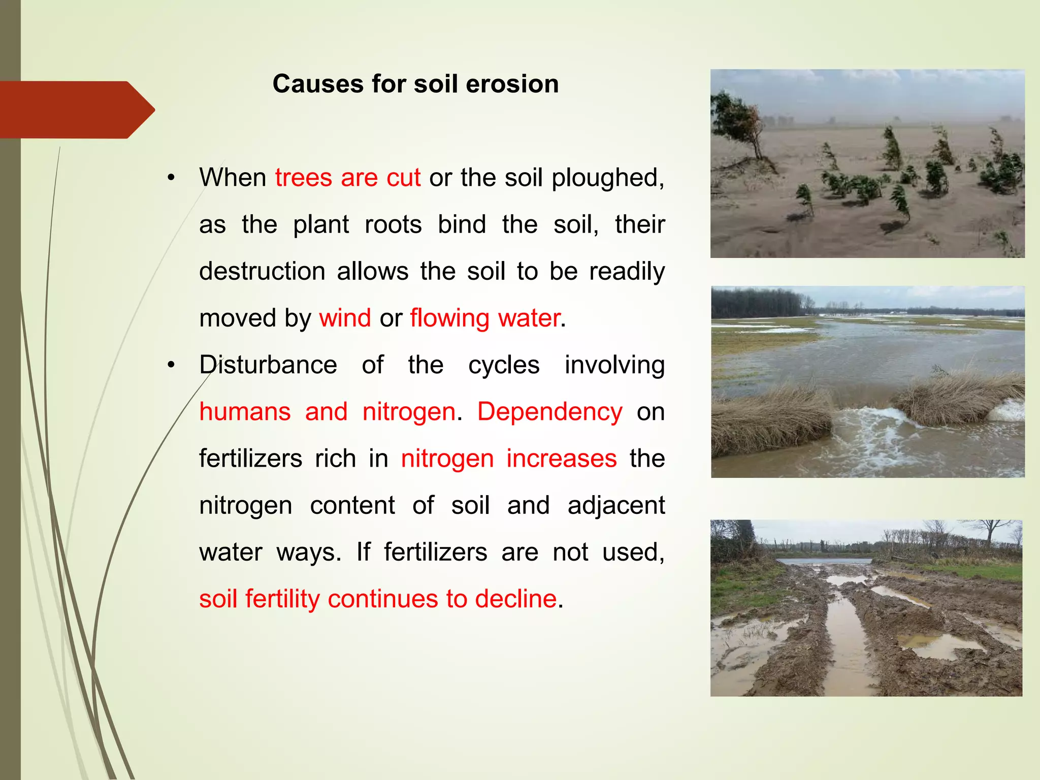 Lecture 3 4ppt Land resources | PDF