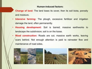 Lecture 3 4ppt Land resources | PDF