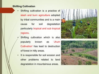 Lecture 3 4ppt Land resources | PDF