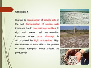 Lecture 3 4ppt Land resources | PDF