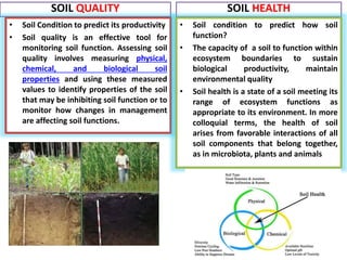 Lecture 3 4 Soil Degradation, Soil Quality Soil Health | PPTX