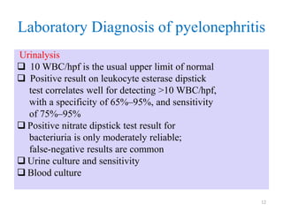 Lecture 3- Acute pyelonephritis.ppt