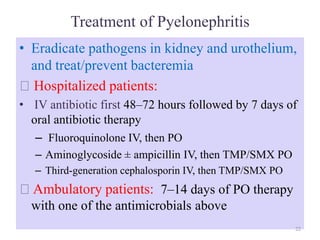 Lecture 3- Acute pyelonephritis.ppt