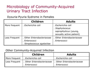 Lecture 3- Acute pyelonephritis.ppt