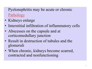 Lecture 3- Acute pyelonephritis.ppt