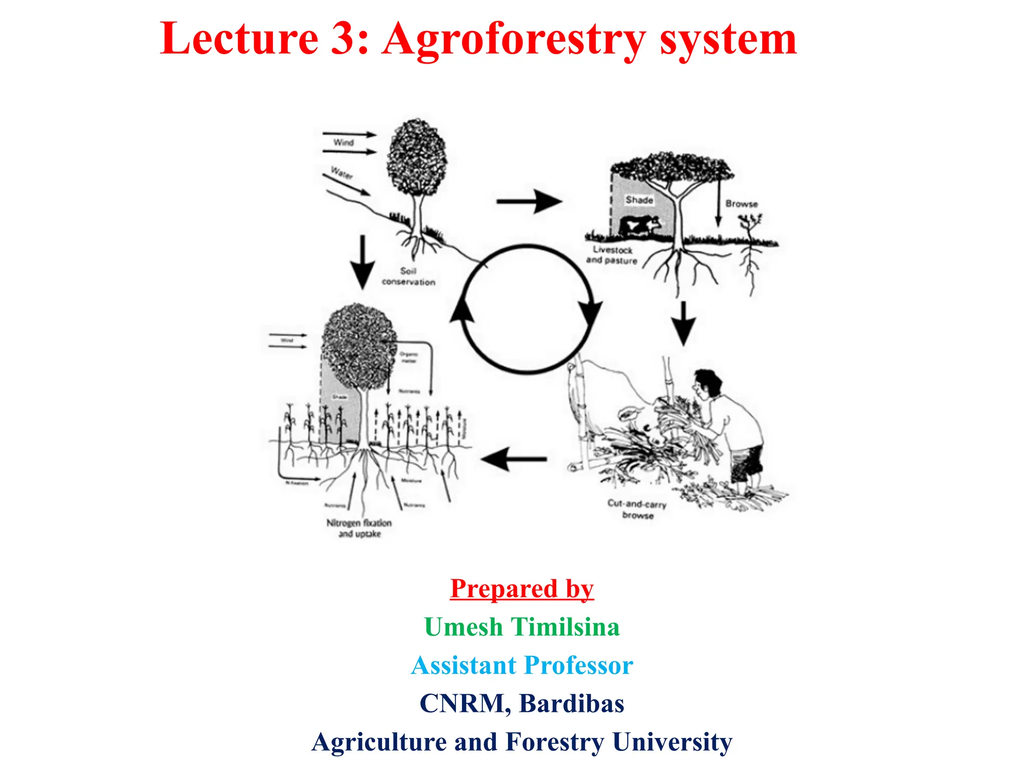 Lecture 3-Agroforestry System and classification.pptx