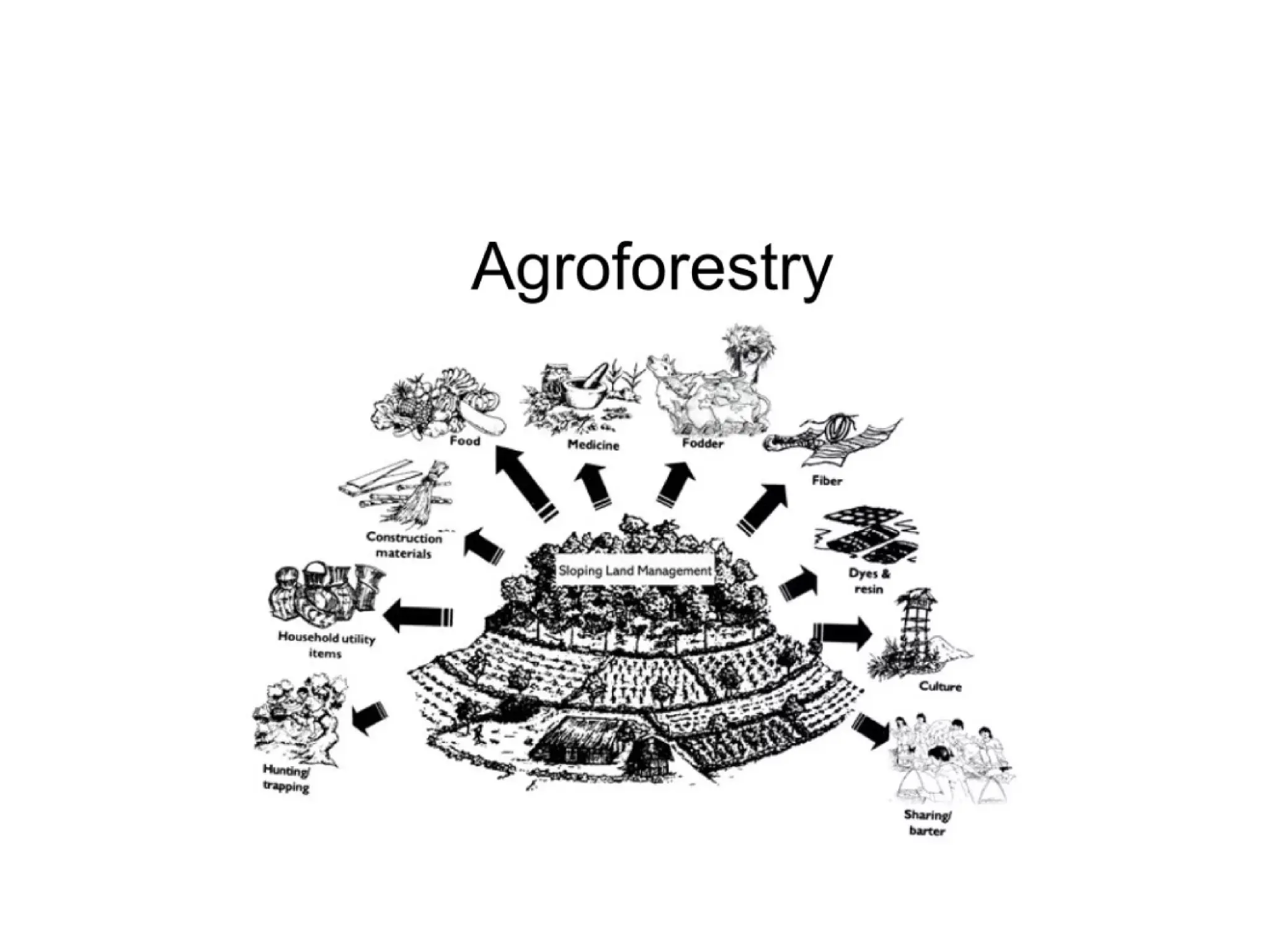 Lecture 3-Agroforestry System and classification.pptx