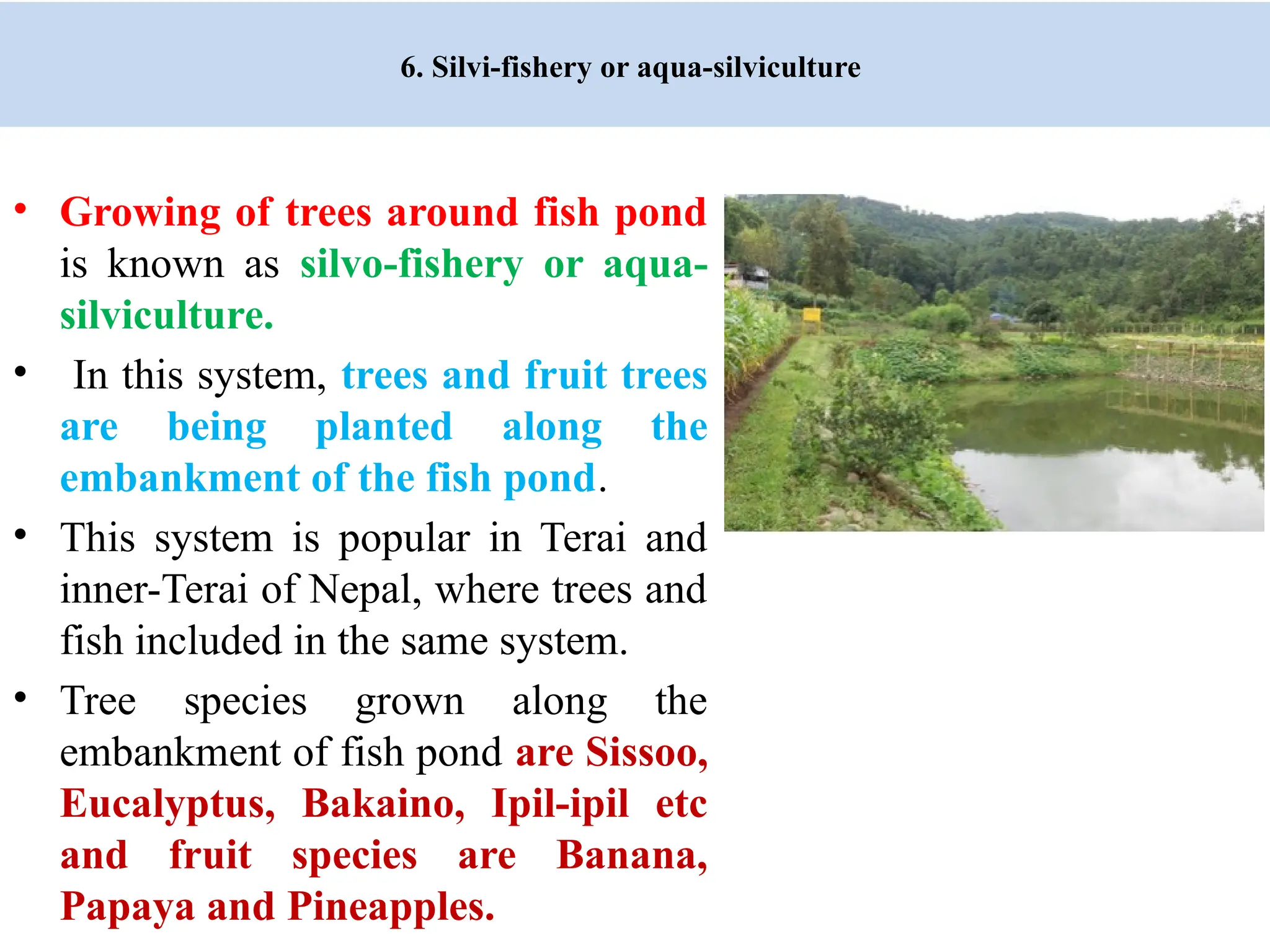 Lecture 3-Agroforestry System and classification.pptx