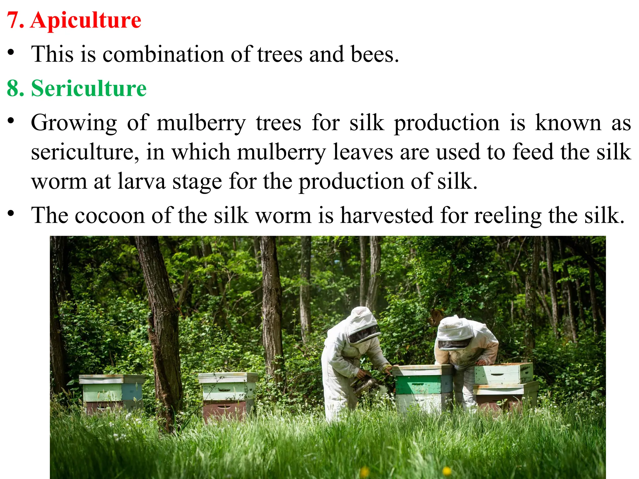 Lecture 3-Agroforestry System and classification.pptx