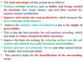 Lecture 3-Agroforestry System and classification.pptx