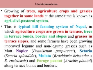 Lecture 3-Agroforestry System and classification.pptx