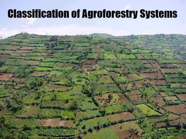 Lecture 3-Agroforestry System and classification.pptx