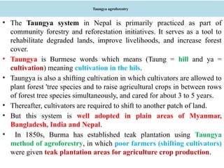 Lecture 3-Agroforestry System and classification.pptx