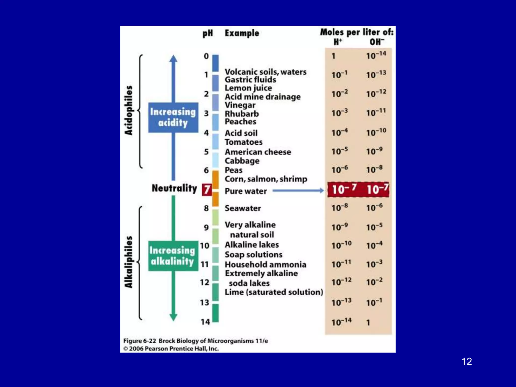 Lecture 3 bacterial nutrition and growth- | PPT