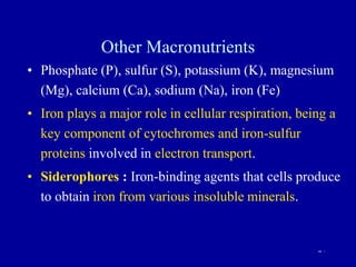 Lecture 3 bacterial nutrition and growth- | PPT