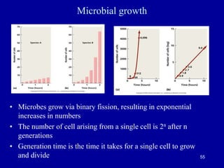 Lecture 3 bacterial nutrition and growth- | PPT