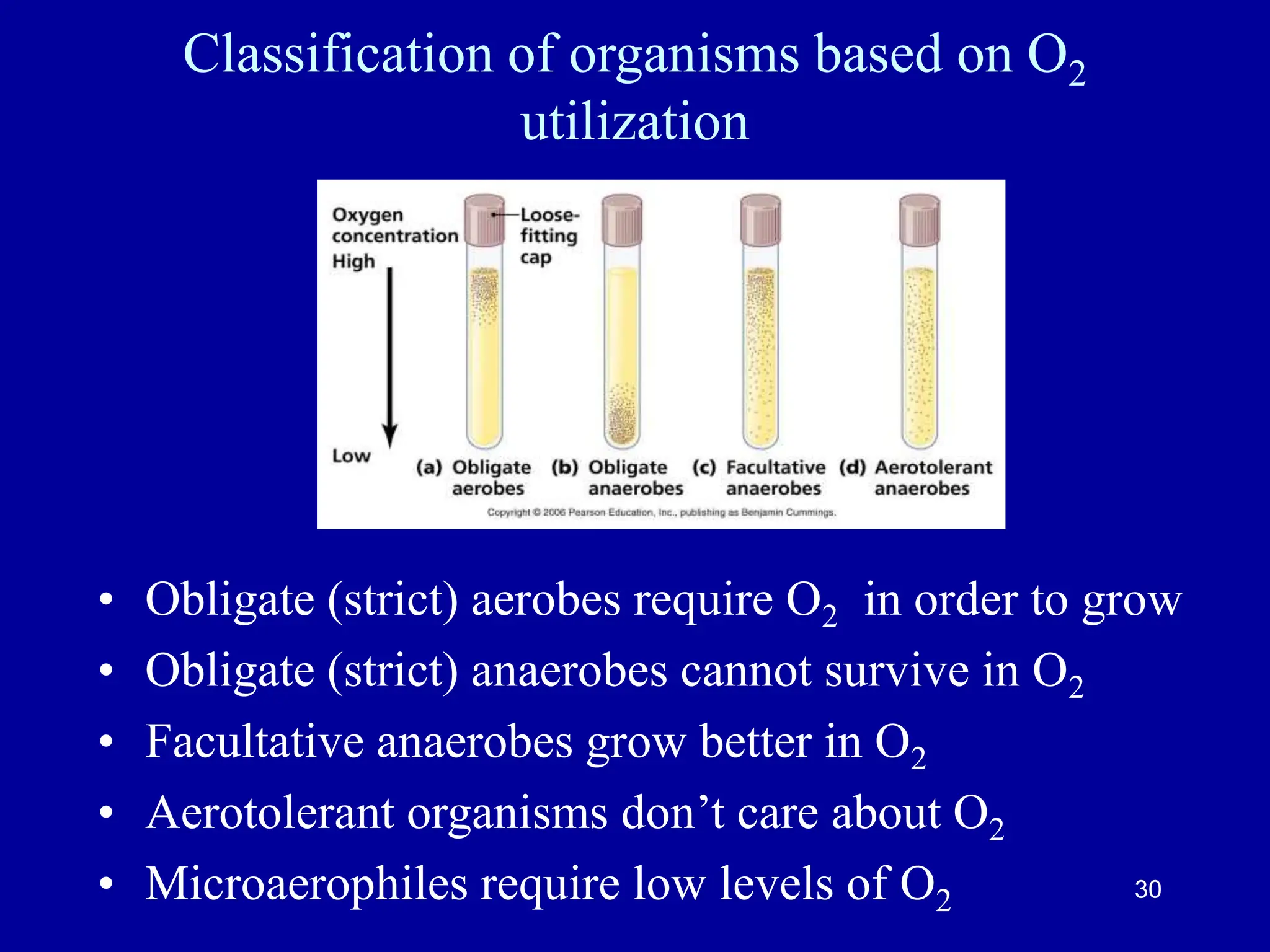 Lecture 3- Bacterial Nutrition and Growth-.ppt